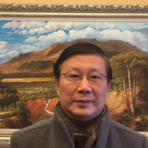 Ling Ping | World Leisure Organization