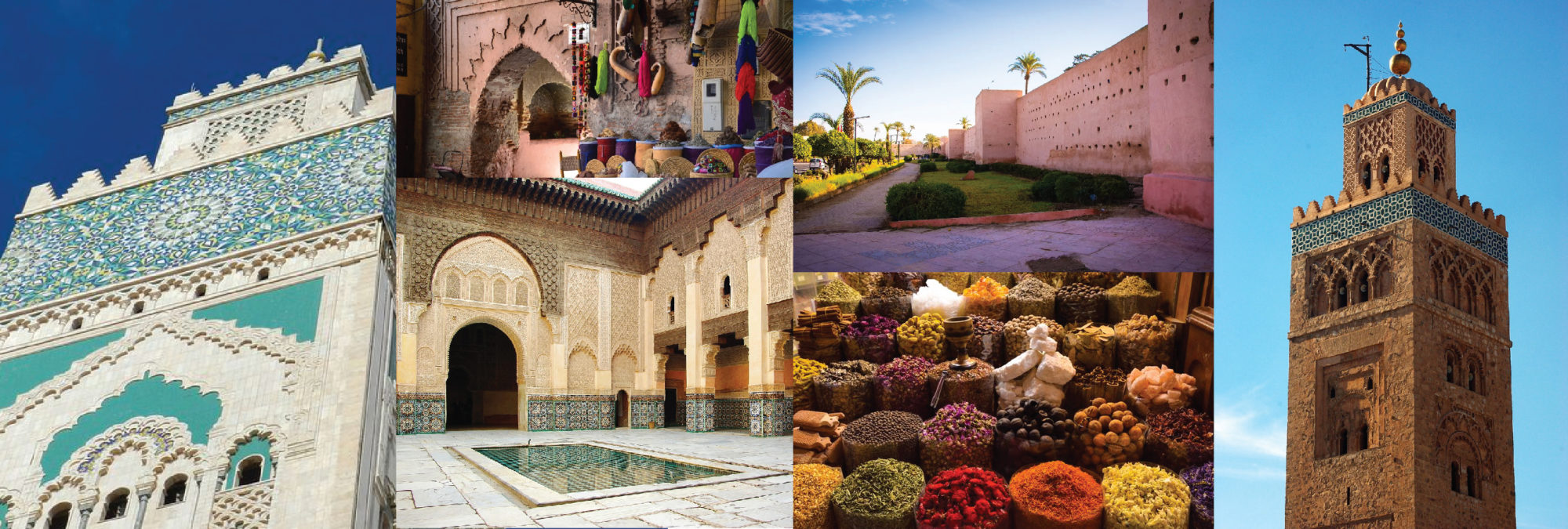 Study Tours | World Leisure Organization