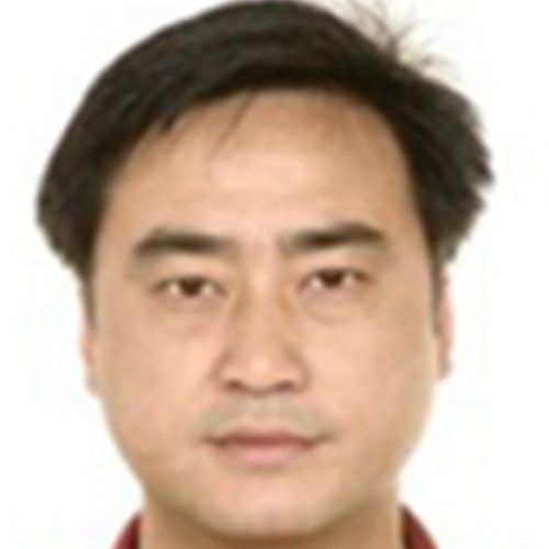 Key Members of the Scientific Committee | World Leisure Organization